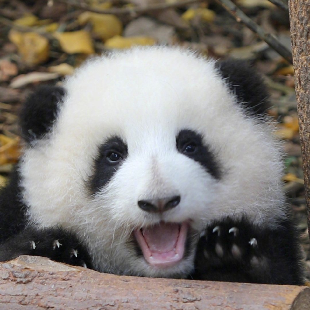 小鹏P5到底怎么开才最省电？