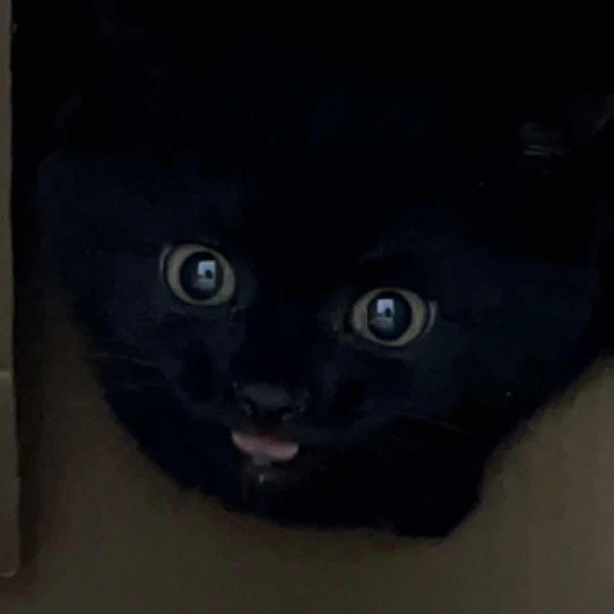 p7i体验，分享与p7的不同之处